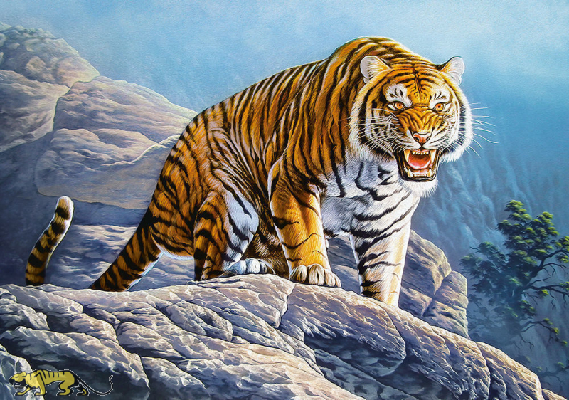 Tiger on the Rocks - Puzzle - 500pcs (B-53346) - Axels Modellbau Shop